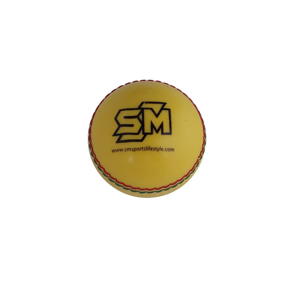 Indoor synthetic ball – SM Cricket South Africa